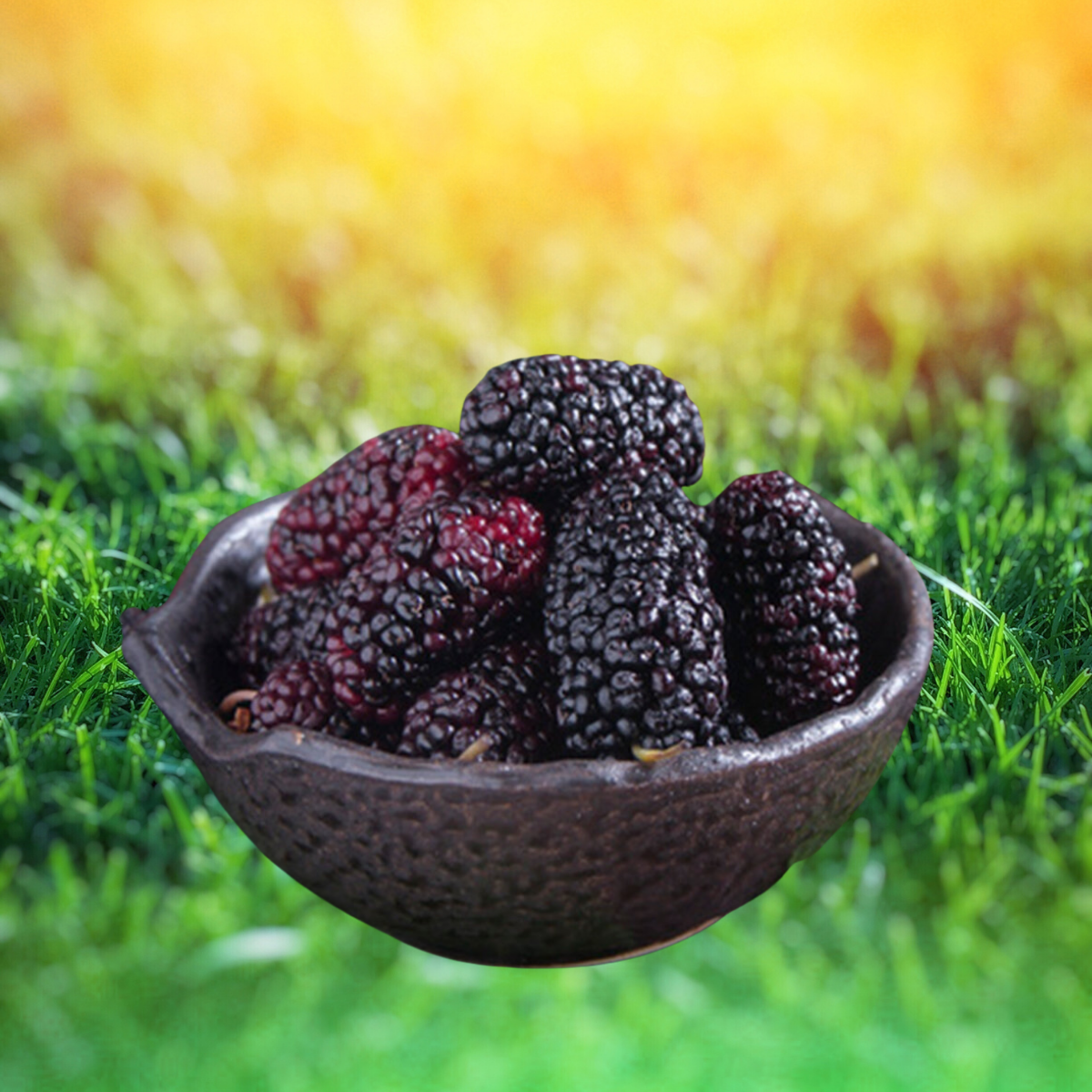 CHAFADO Mulberry Gum丨椿華堂 黑桑葚糕